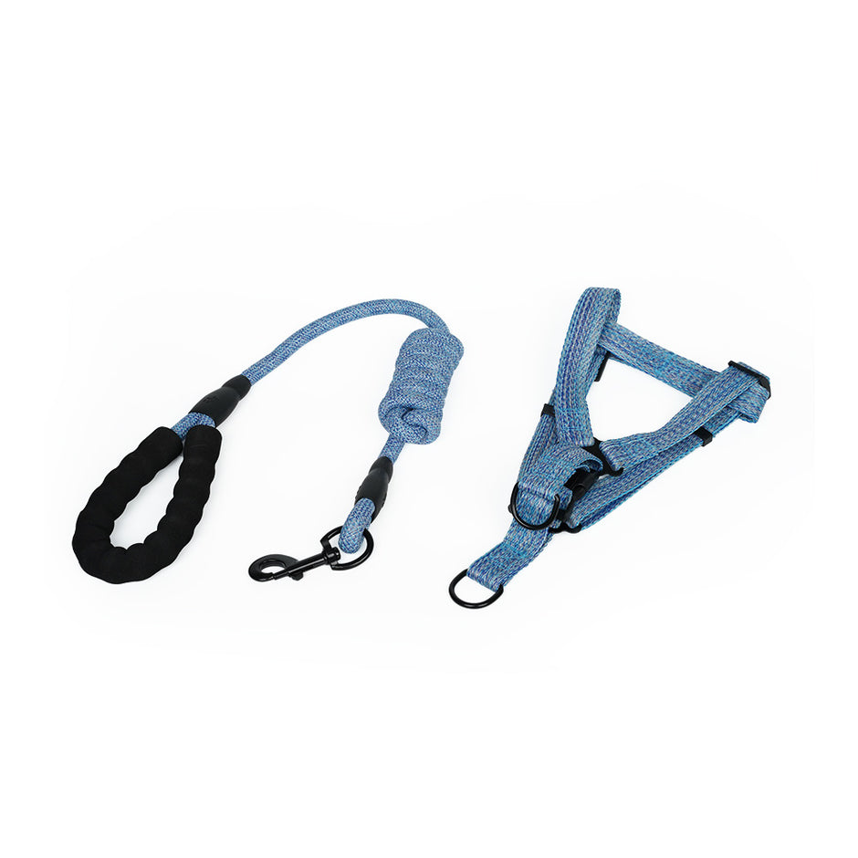 רצועות ורתמות – Petstock